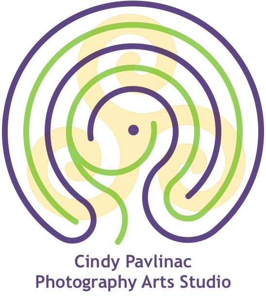 Pavlinac Photo Arts Studio - California Shop Small