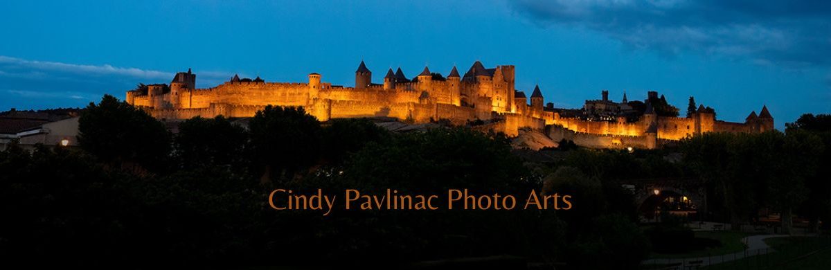 Pavlinac Photo Arts Studio - California Shop Small